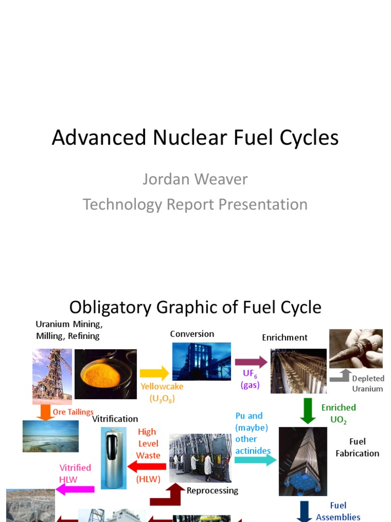 Advanced Nuclear Fuel Cycle Insights | PDF | Nuclear Power ...