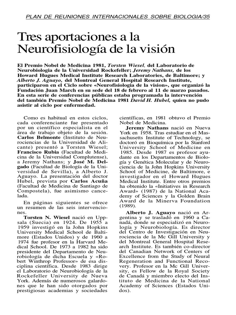 Neurofisiologia | PDF | Percepción visual | Axon