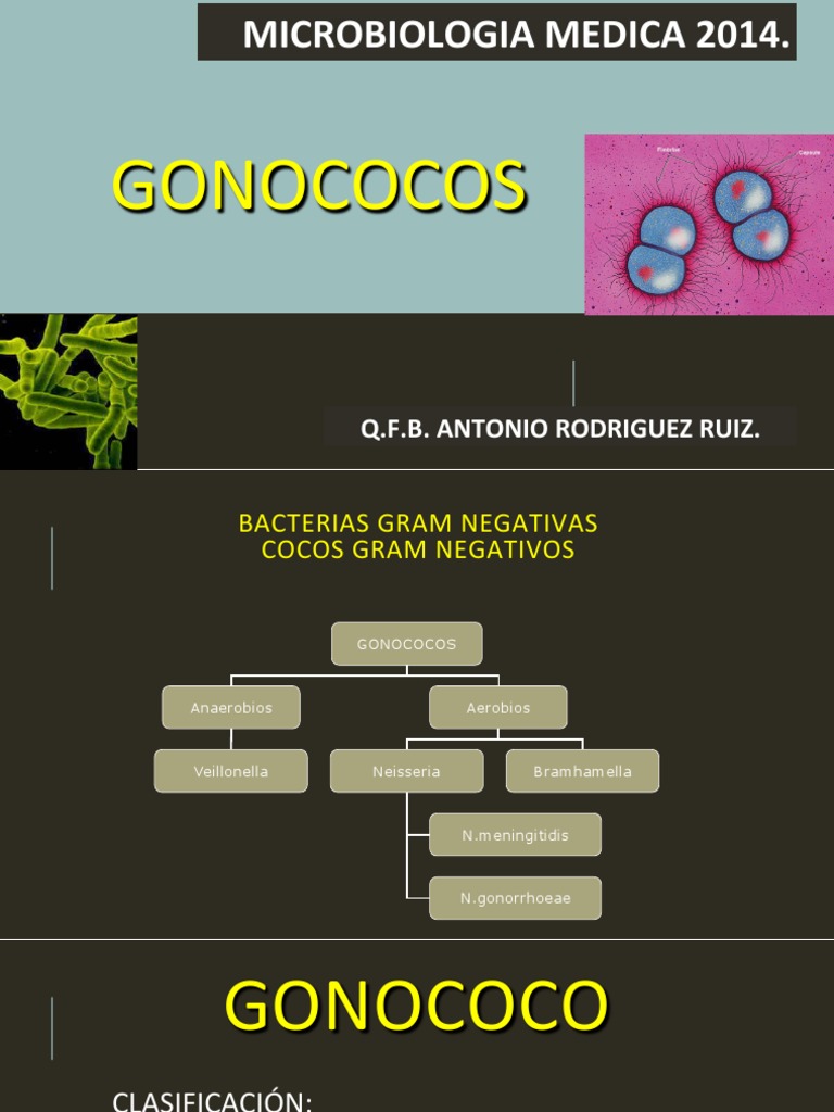 CLASE 5 Gonococo PDF | PDF | Microbiología | Especialidades Medicas