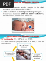 Diuresis Horaria | PDF