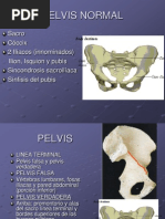 PELVIMETRIA | PDF | Pelvis | Sistema esquelético