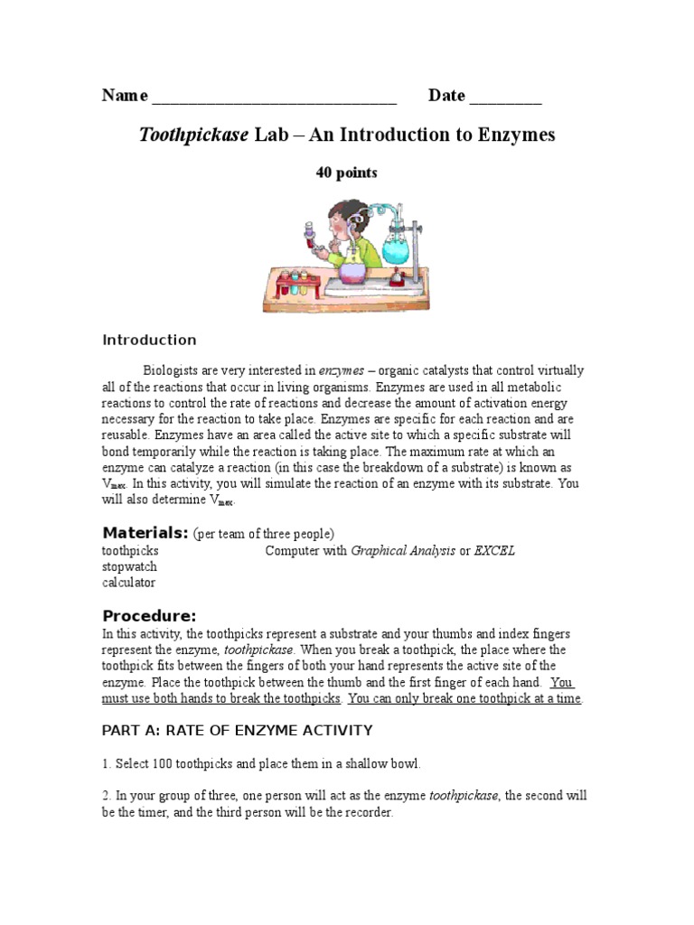 Toothpickase Lab Activity | PDF | Active Site | Substrate (Chemistry)