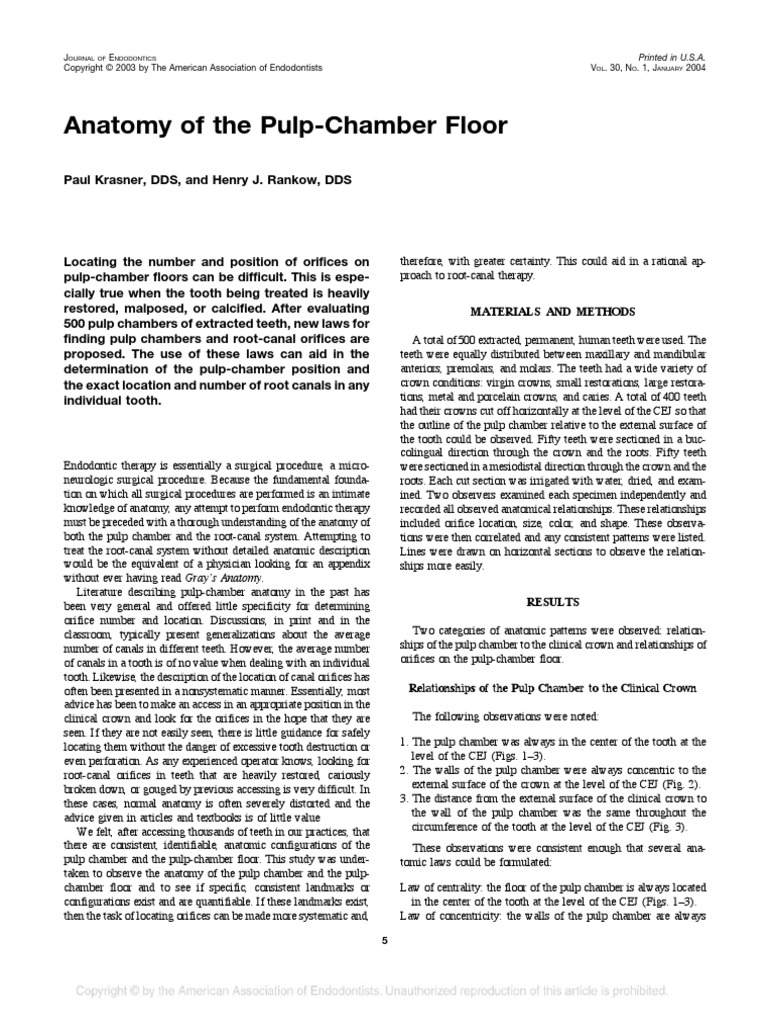 Y6fp7Dr4b5cJ1iIAnatomy of the Pulp-Chamber Floor.pdf | Tooth | Human Tooth
