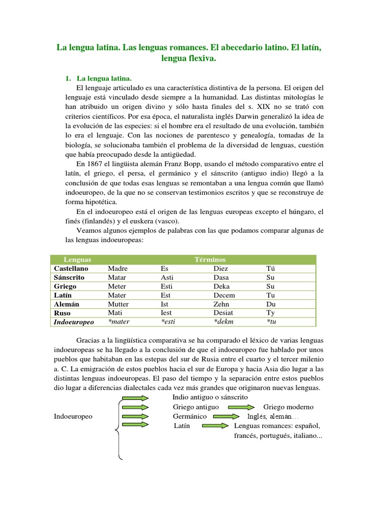 Orígenes y gramática del latín | PDF | latín | Sustantivo