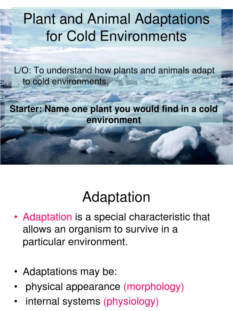 Cold Climate Adaptations in Flora and Fauna | PDF | Trees | Desert