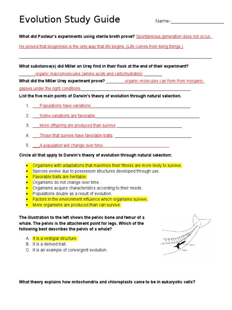 Evolution Study Guide 9th Grade Key | PDF | Evolution | Life
