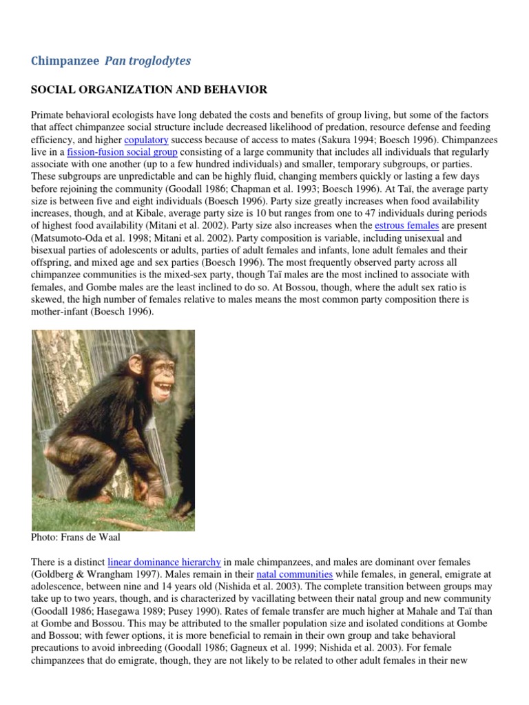 Chimp Mating Habits | PDF | Chimpanzee | Infants