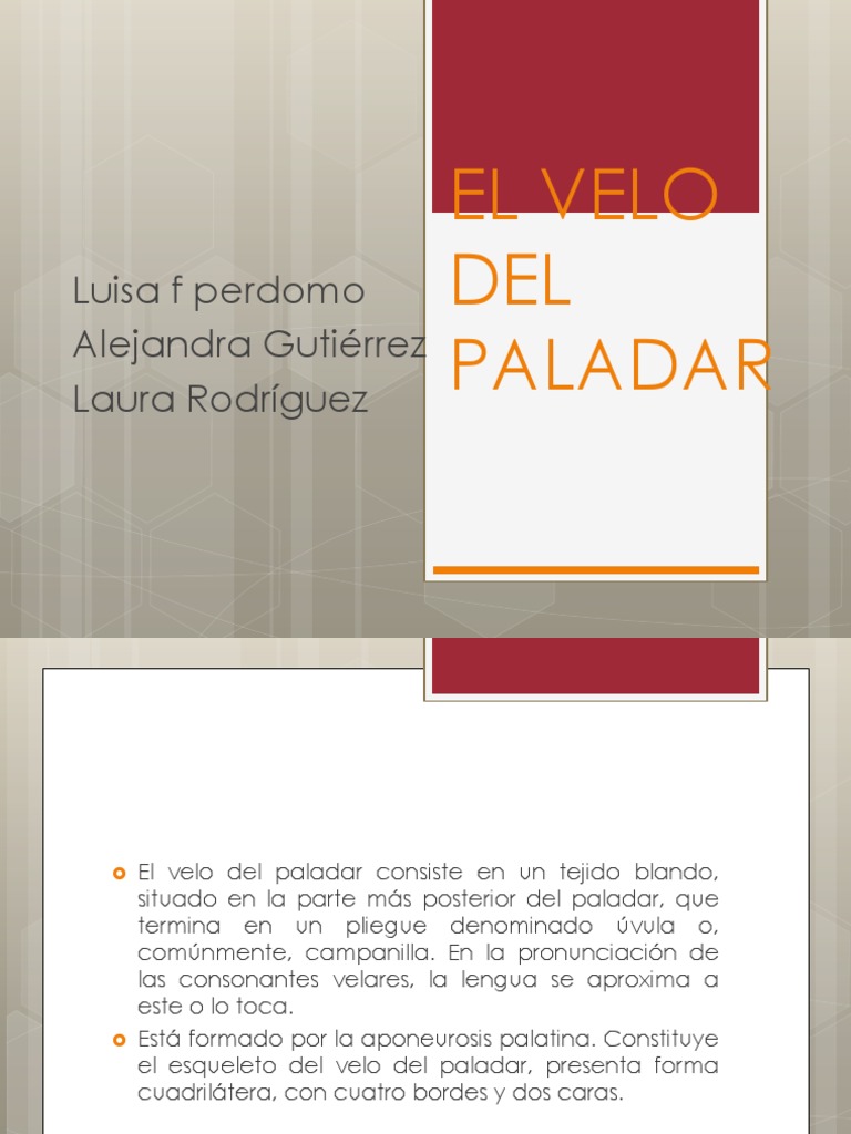El Velo Del Paladar | PDF | Anatomía humana | Cabeza y cuello humanos