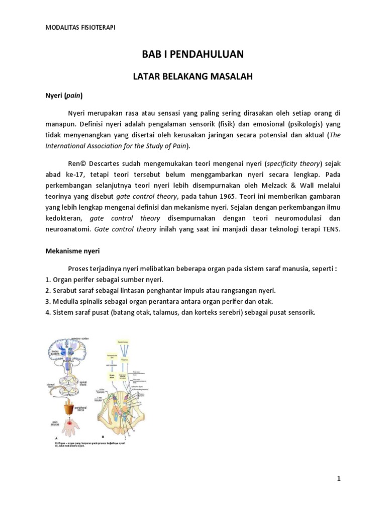 Modalitas Fisioterapi - Ana Ilmanian | PDF
