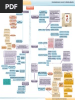 Mapa Conceptual-Curriculo Educativo | PDF
