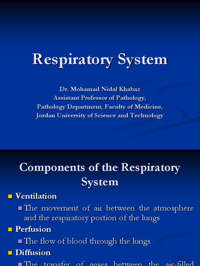 Pathophysiology Respiratory System | Respiratory Tract | Lung