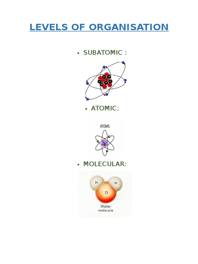 Levels of Biological Organization | PDF