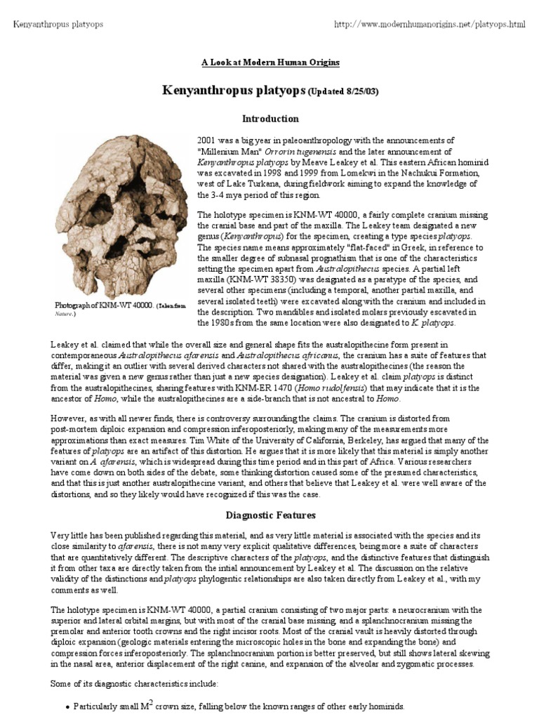 Kenyanthropus platyops | Pliocene | Paleoanthropology