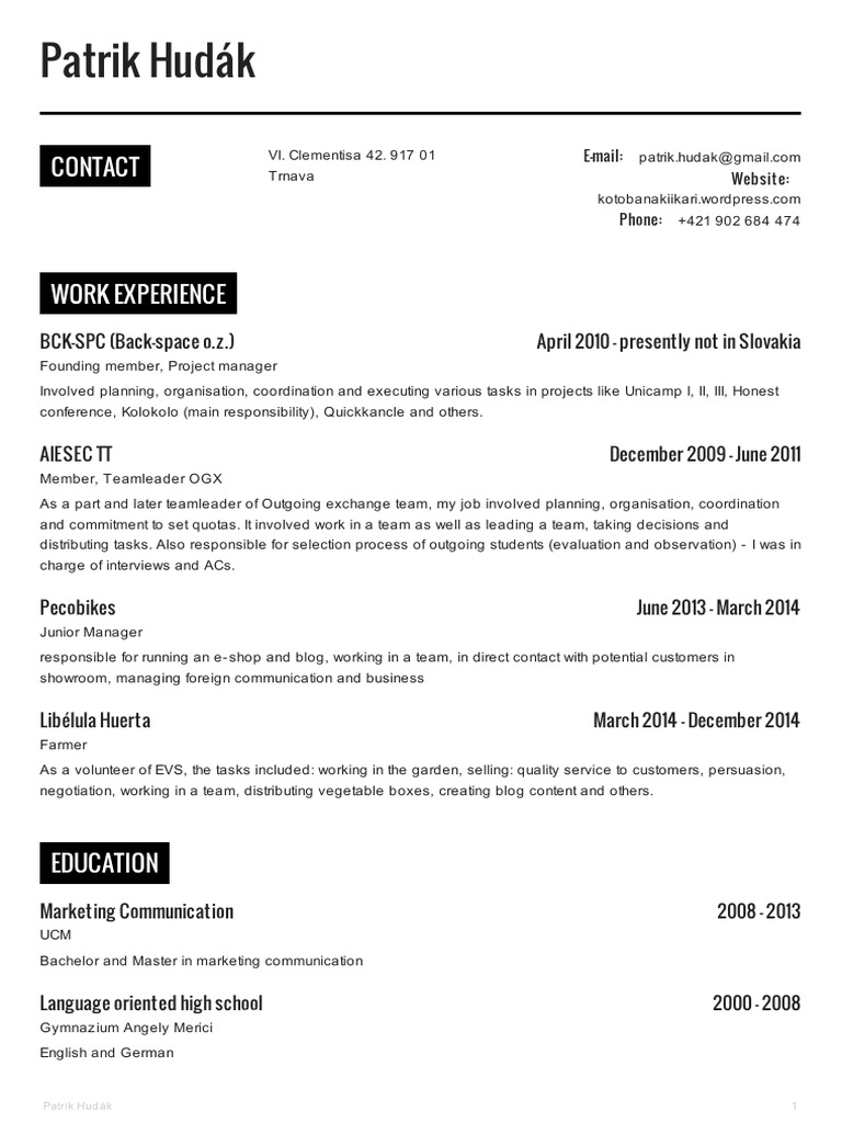 Patrik Hudak CV-ENG PDF | PDF | Communication