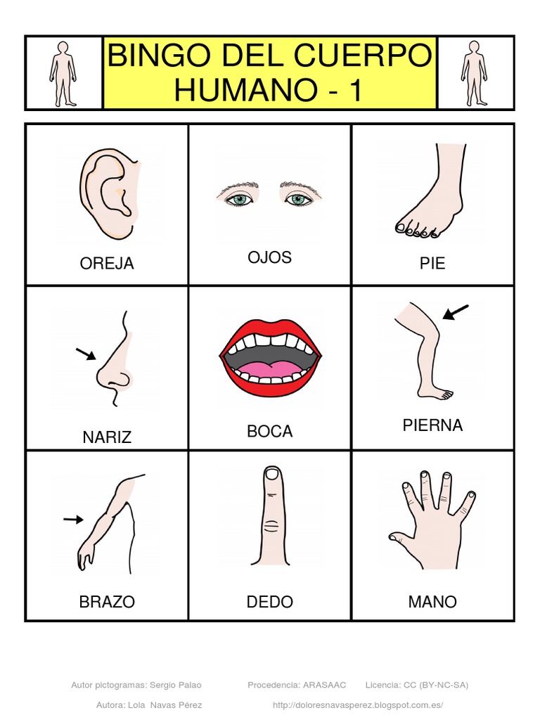 Bingo de Partes del Cuerpo Humano | PDF