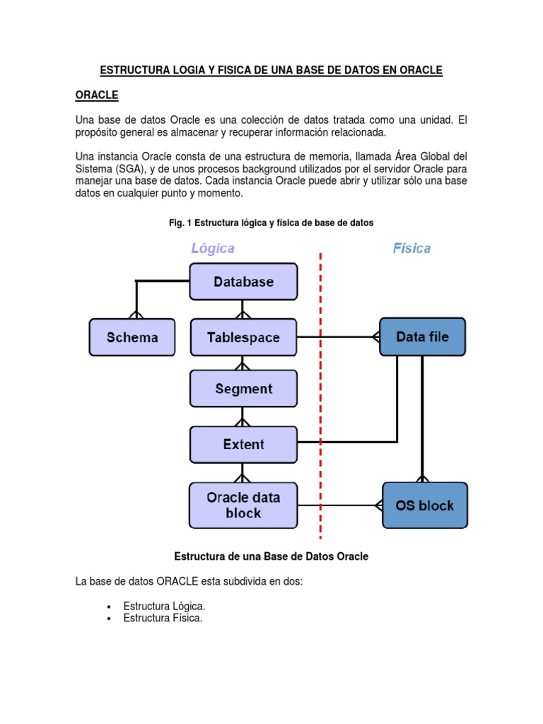 Estructura Física y Lógica en Oracle | PDF | Archivo de computadora ...
