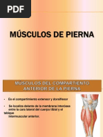 Músculos Intrínseco | PDF | Dedo del pie | Pie