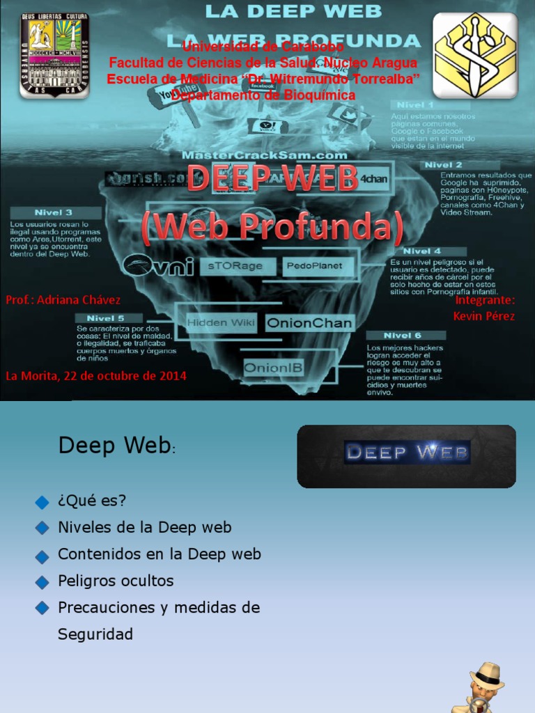 Deep Web | PDF