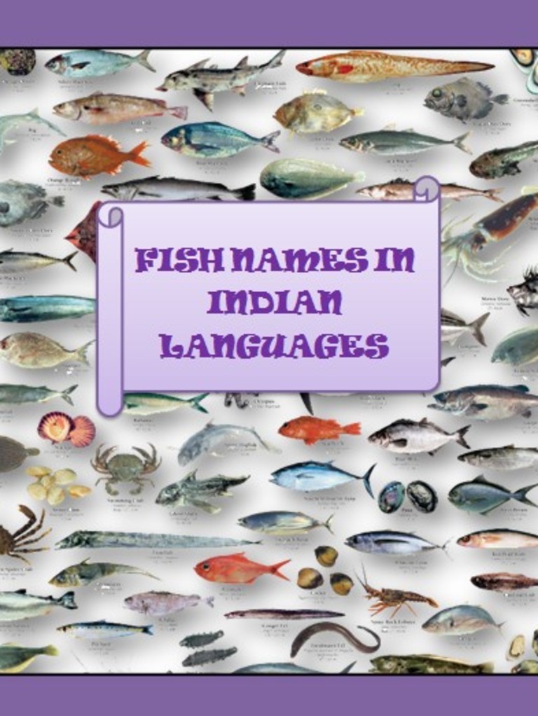 Fish Names in Indian Languages | PDF | Fish | Aquatic Animals