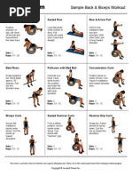 Wrist Isometric Exercise Program | PDF | Anatomical Terms Of Motion | Hand