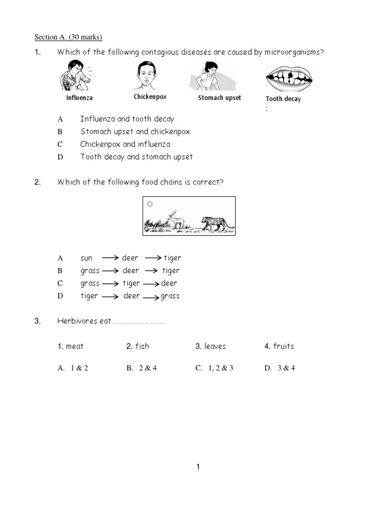 Sains Year 5 Pep - Akhir Tahun | PDF | Solid | Ice