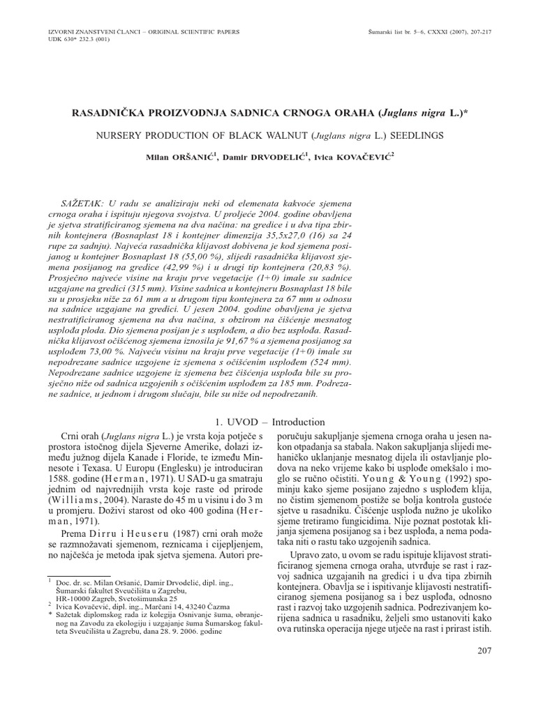 Rasadnicka Proizvodnja Sadnica Crnog Oraha PDF | PDF