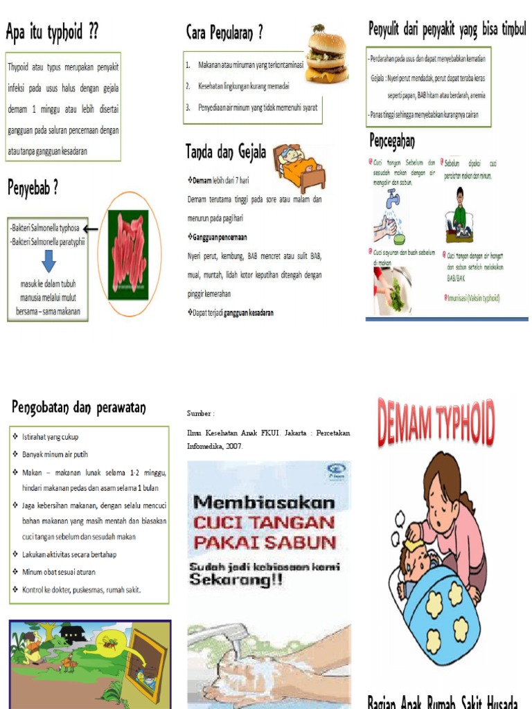 Leaflet Demam Tifoid | PDF