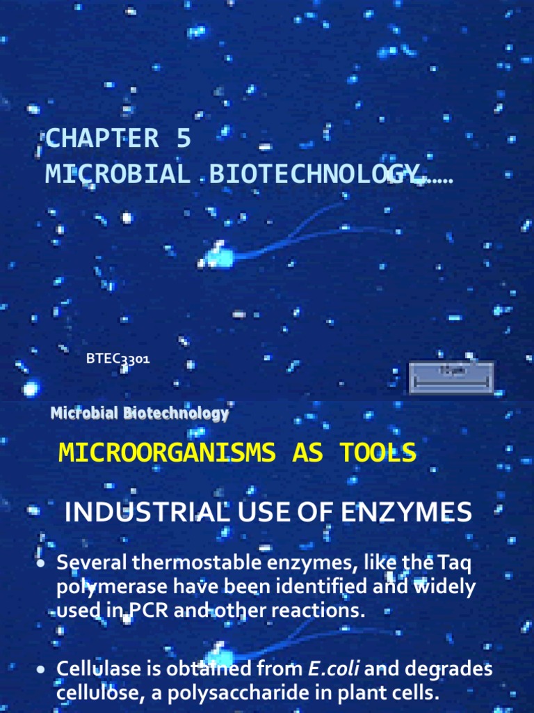 Chapter 5 Microbial Biotechnology | PDF | Molecular Cloning | Vaccines