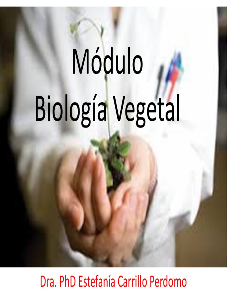 Introducción a la Biología Vegetal | PDF | Clorofila | Plantas