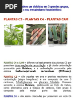 Slides Plantas C3, C4 e CAM | PDF | Metabolismo | Plantas