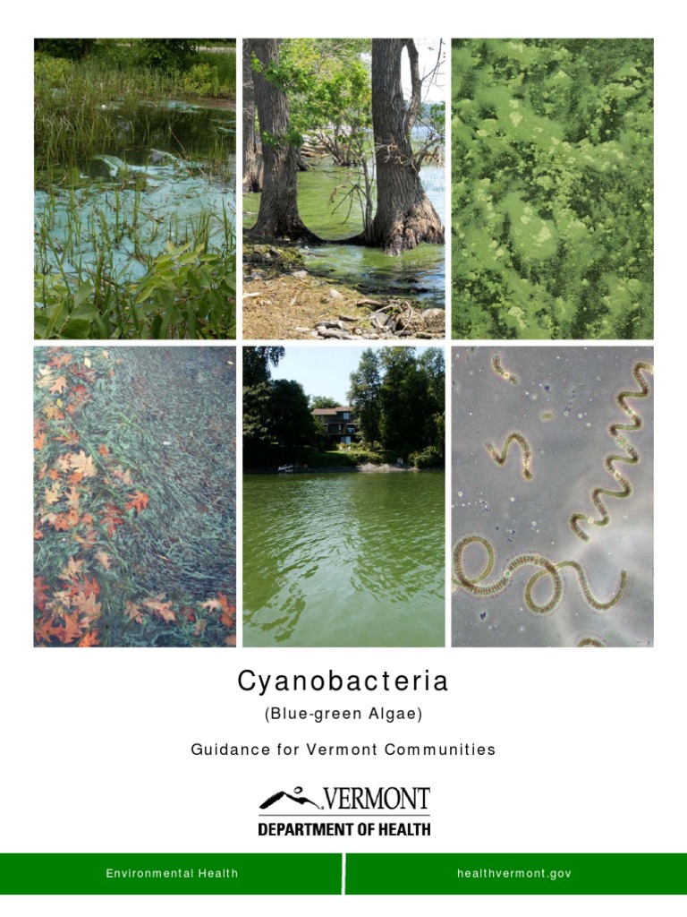 Cyanobacteria: (Blue-Green Algae) Guidance For Vermont Communities ...