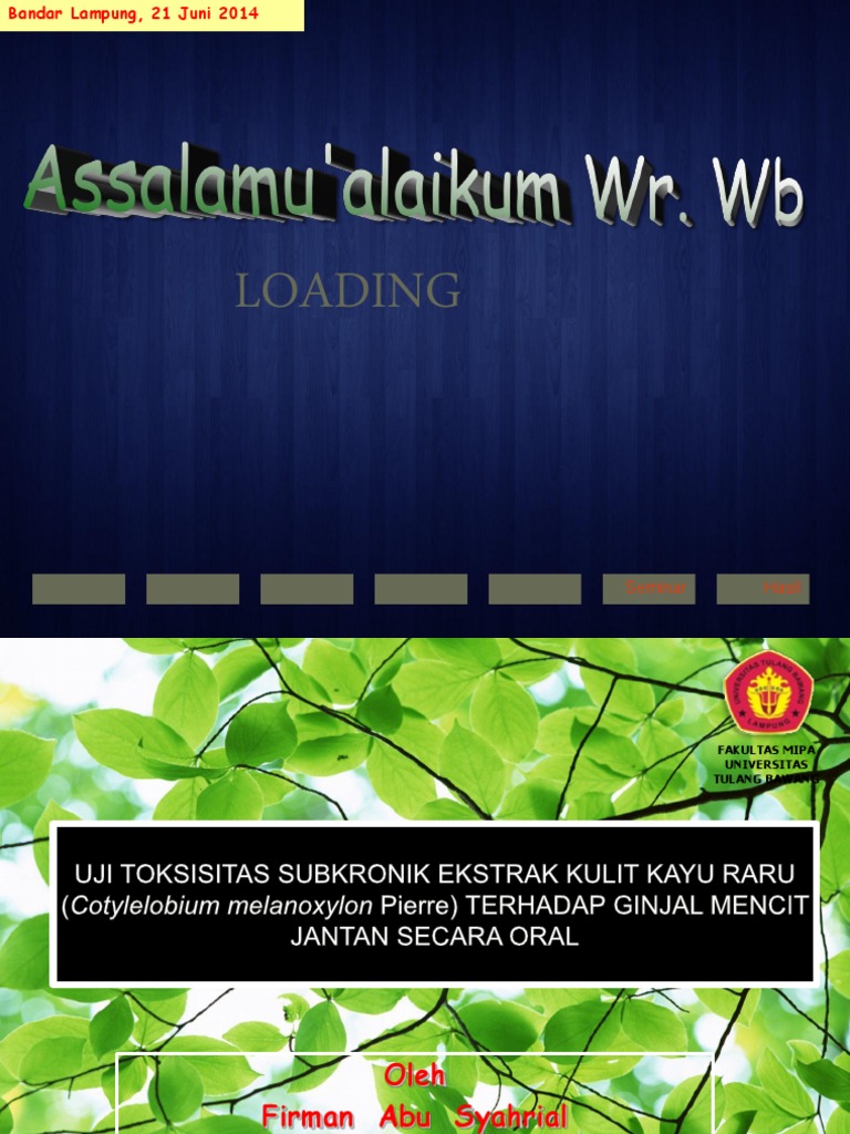 Kulit Kayu Raru | PDF