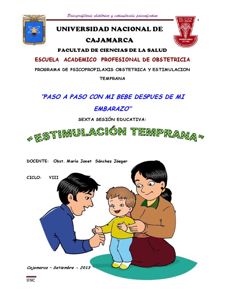 Sesion de Estimulacion Temprana | PDF | Cerebro | Adultos