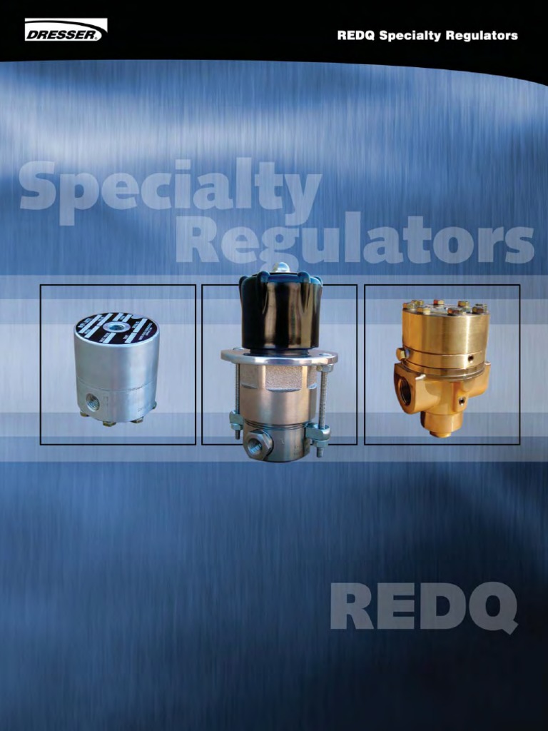 Reg RedQ Specialy Regulators PDF | PDF | Valve | Pressure