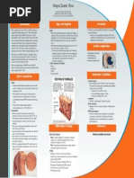 HEDS DX Criteria Checklist | PDF | Human Diseases And Disorders ...