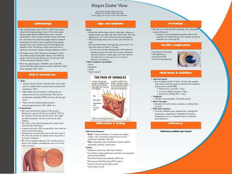 Shingles Poster | PDF | Animal Diseases | Viral Diseases