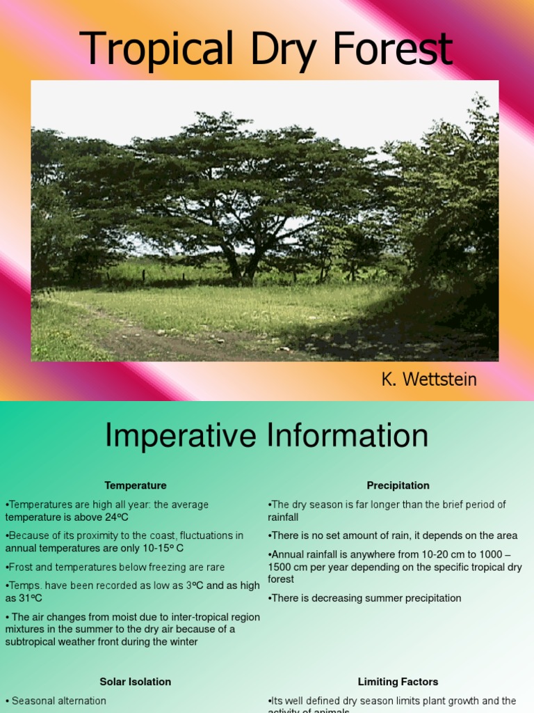 Characteristics and Adaptations of Tropical Dry Forests | PDF | Rain ...