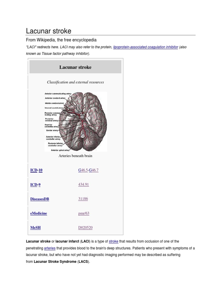 Lacunar stroke.docx | Vascular Diseases | Angiology