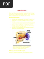 Approach To Patient With Splenomegaly 2 | PDF | Spleen | Cirrhosis
