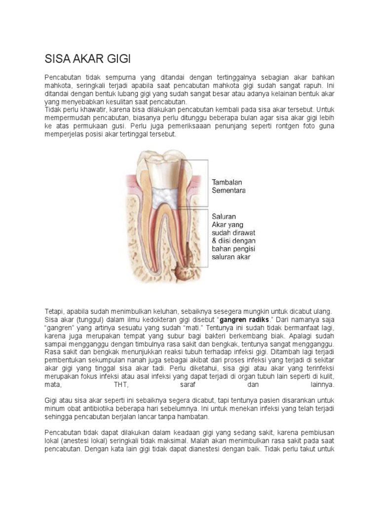 Sisa Akar Gigi | PDF | Kesehatan Holistik | Gaya Hidup