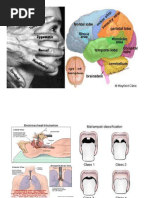 EMRA SportsMedicine Splint Guide | PDF | Thumb | Hand