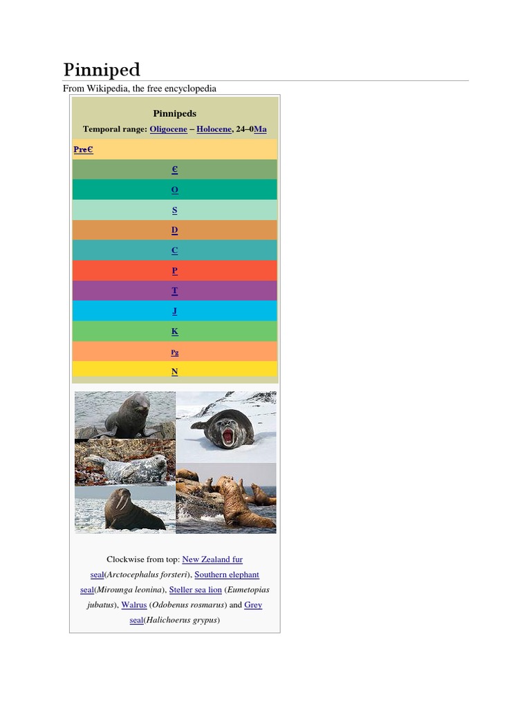 Pinniped | PDF | Pinniped | Caniforms