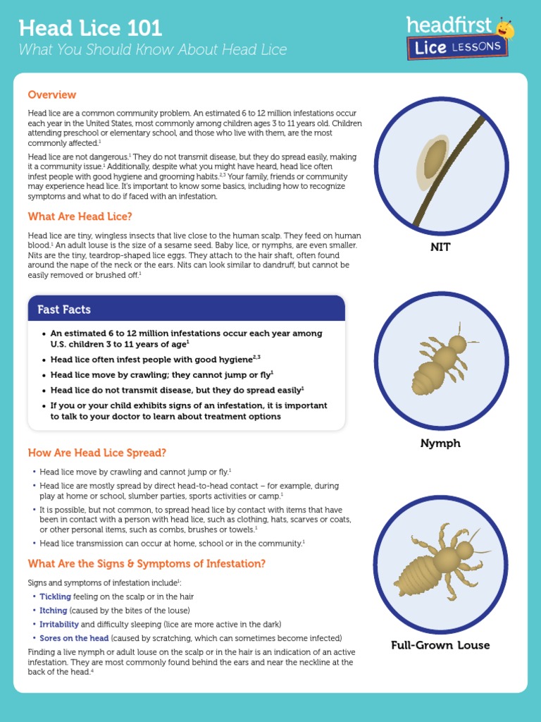 Head Lice 101 For Parents | PDF | Health Sciences | Medicine