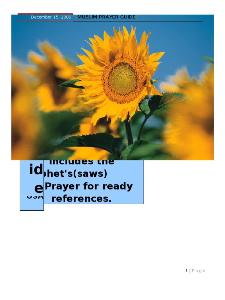 Muslim Prayer Guide and Prophet's Prayer | PDF | Religious Behaviour ...