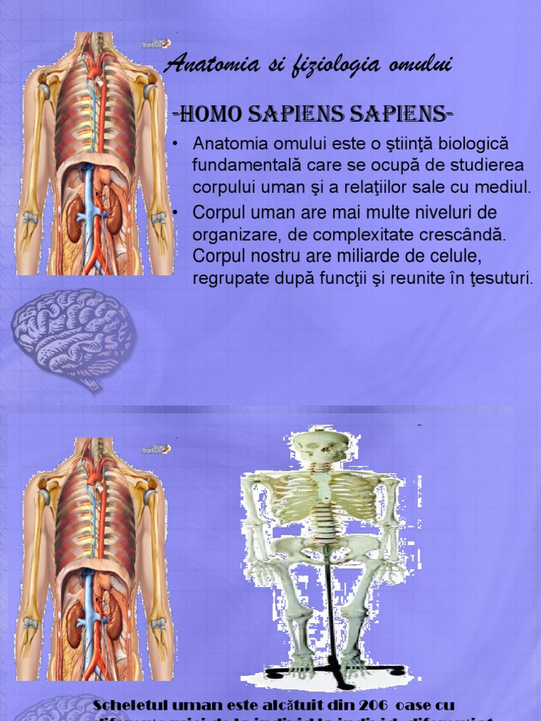 Anatomia Si Fiziologia Omului