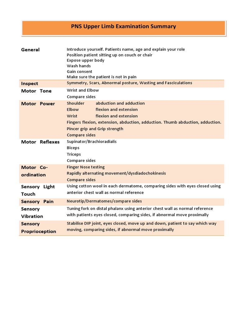Summary PNS-UL Exam | PDF