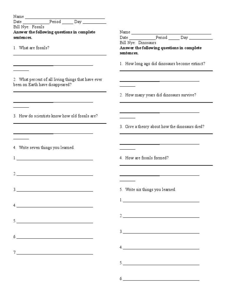 Bill Nye: Fossils and Dinosaurs Worksheet | PDF | Paleontology | Dinosaurs