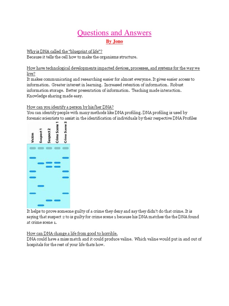 Understanding DNA Basics | PDF | Science & Mathematics