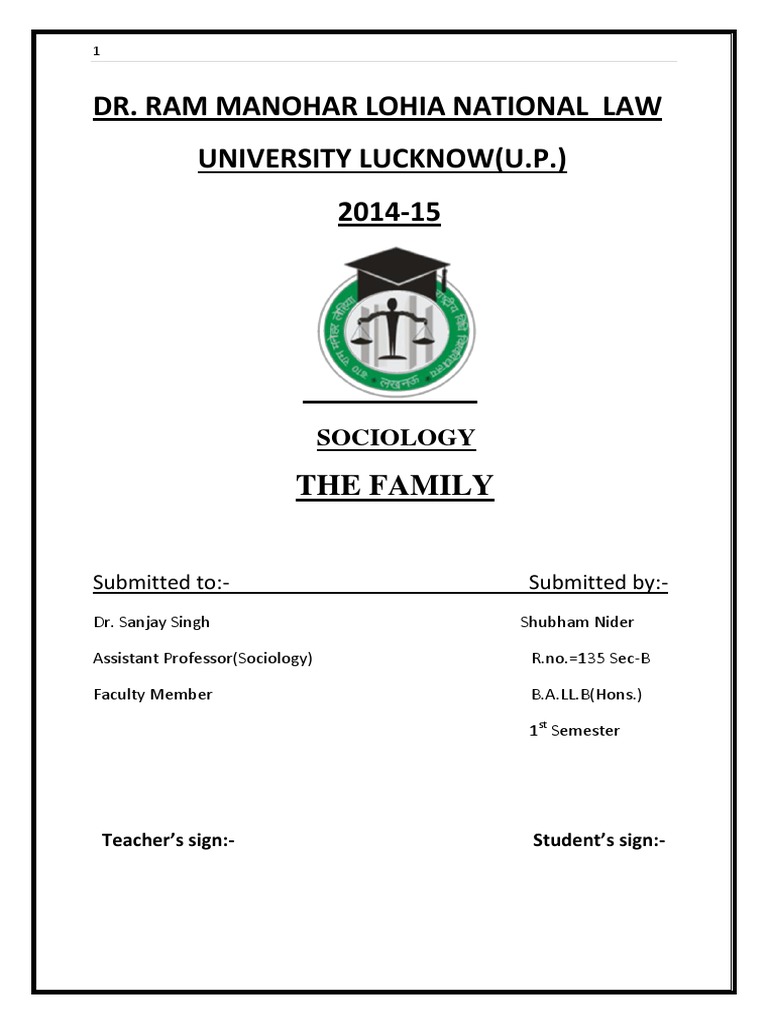 The Family Project | PDF | Kinship | Family