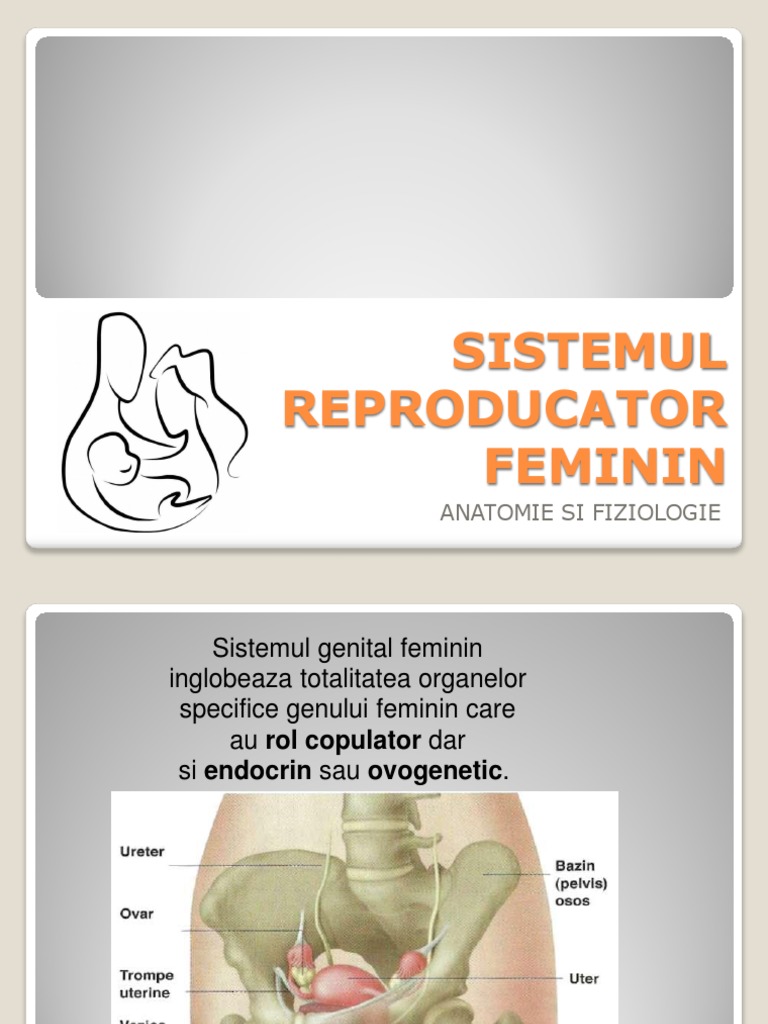 Sistemul Reproducator | PDF